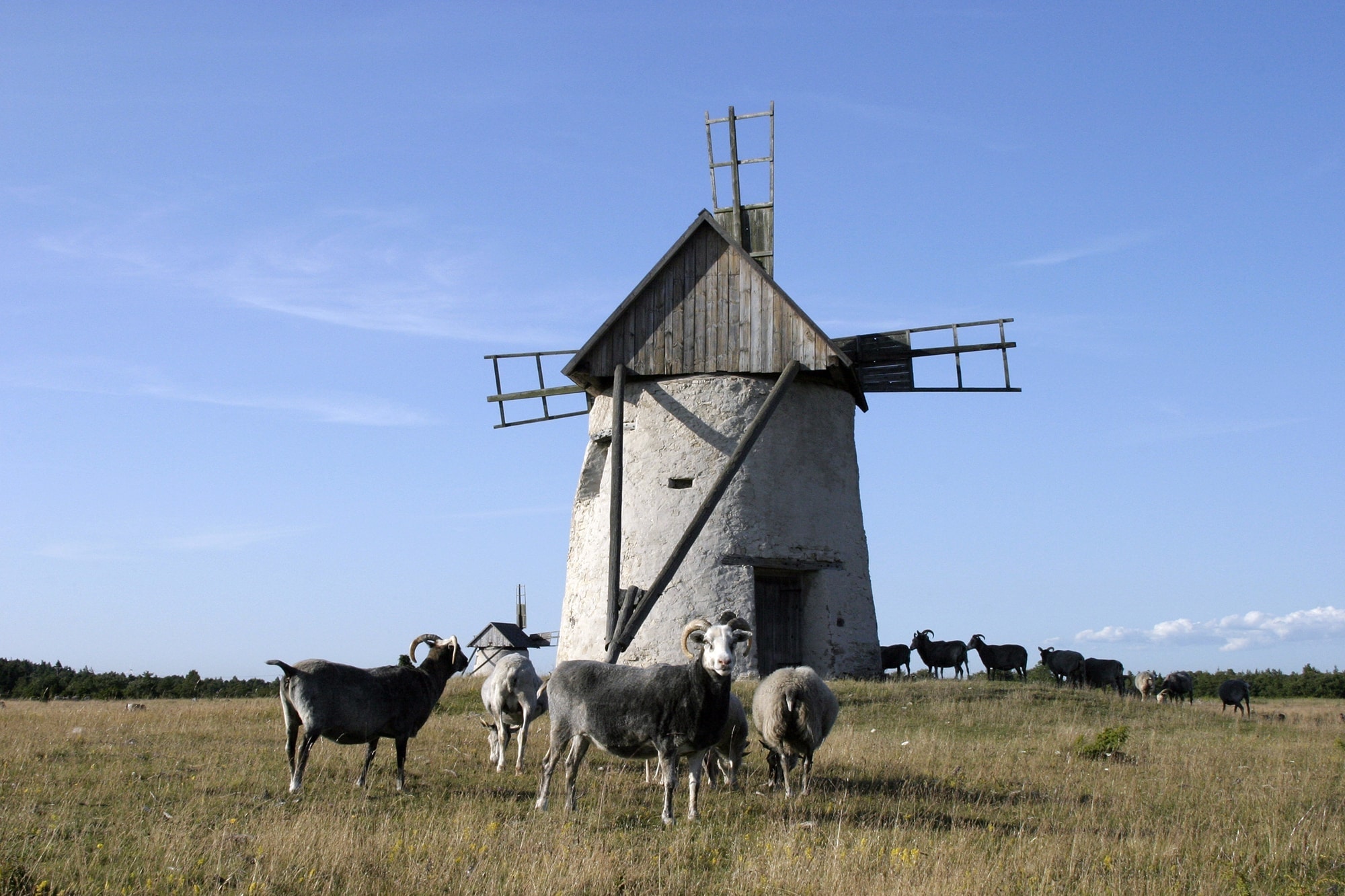 Išvyka į ypatingo grožio Švedijos salą – Gotlandą! | Makalius.lt