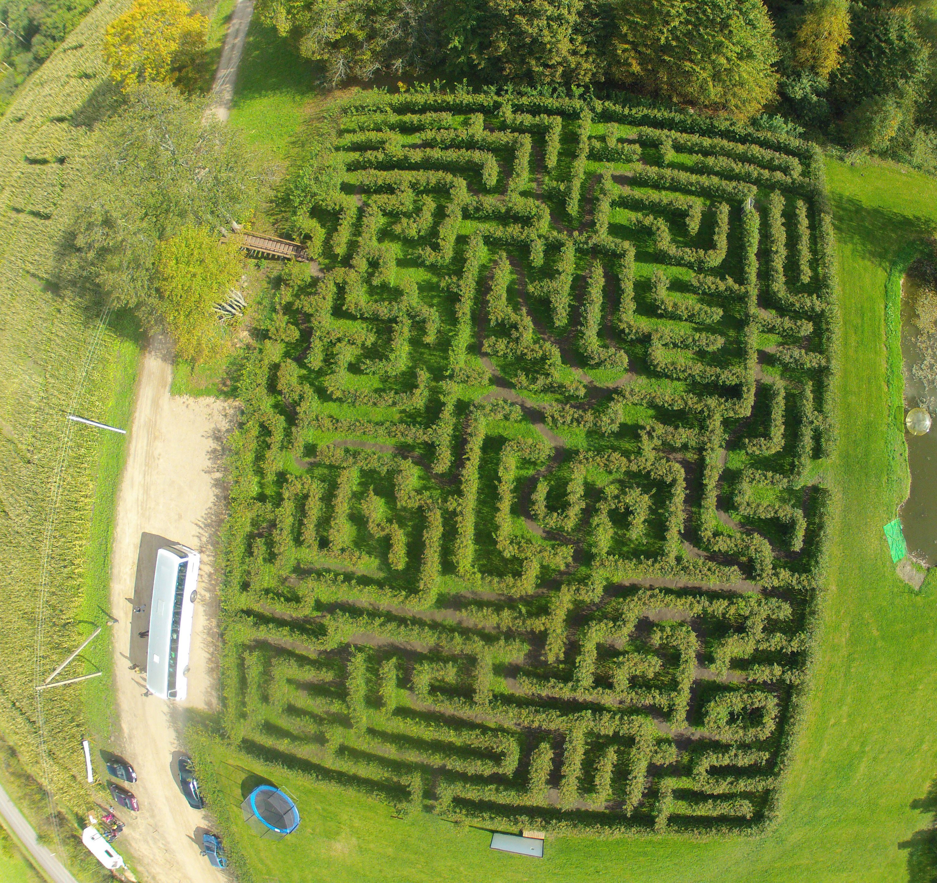 Makalionės po Lietuvą: ką pamatyti Anykščiuose? - Makalius.lt