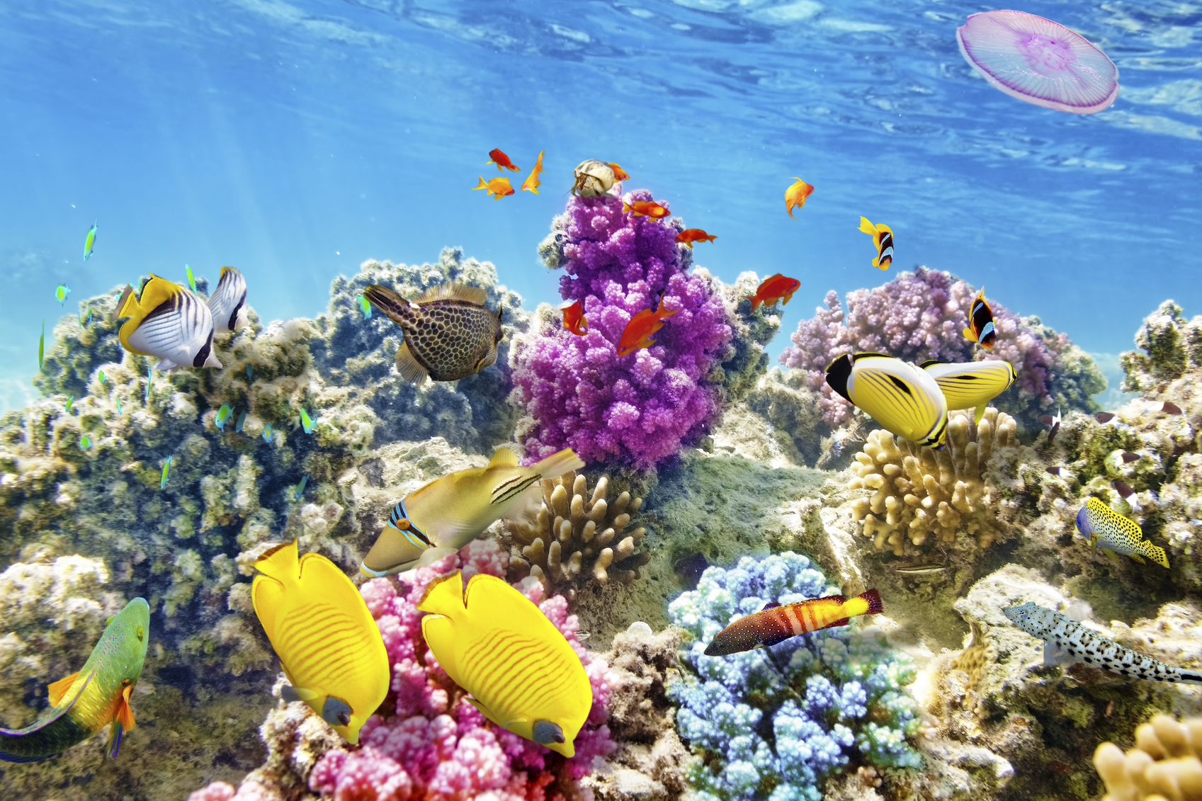 Rudens atostogos koralinių rifų apsuptyje Hurgadoje!