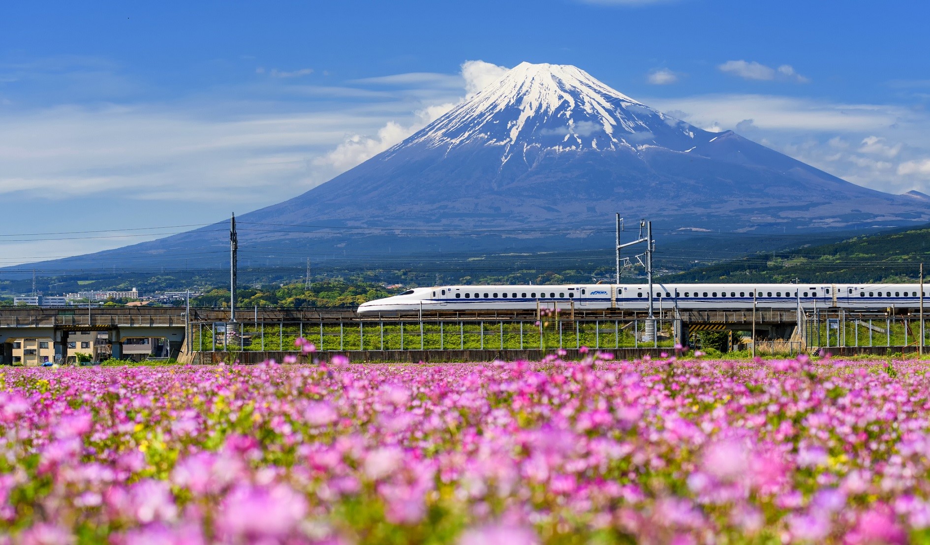 Moderni, ryški ir kontrastinga Japonija: lankytinos vietos šalyje