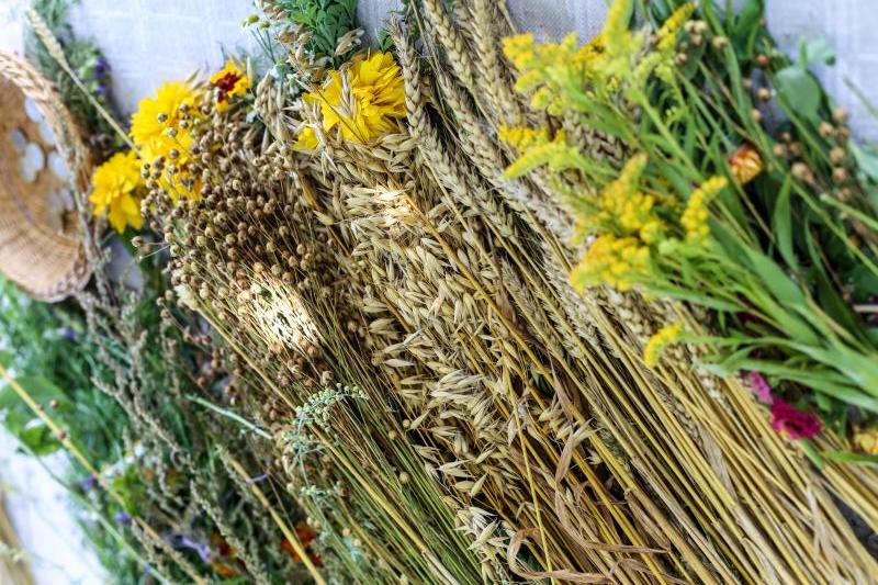 Žolinę švęsk Lietuvos liaudies buities muziejuje! - Makalius.lt