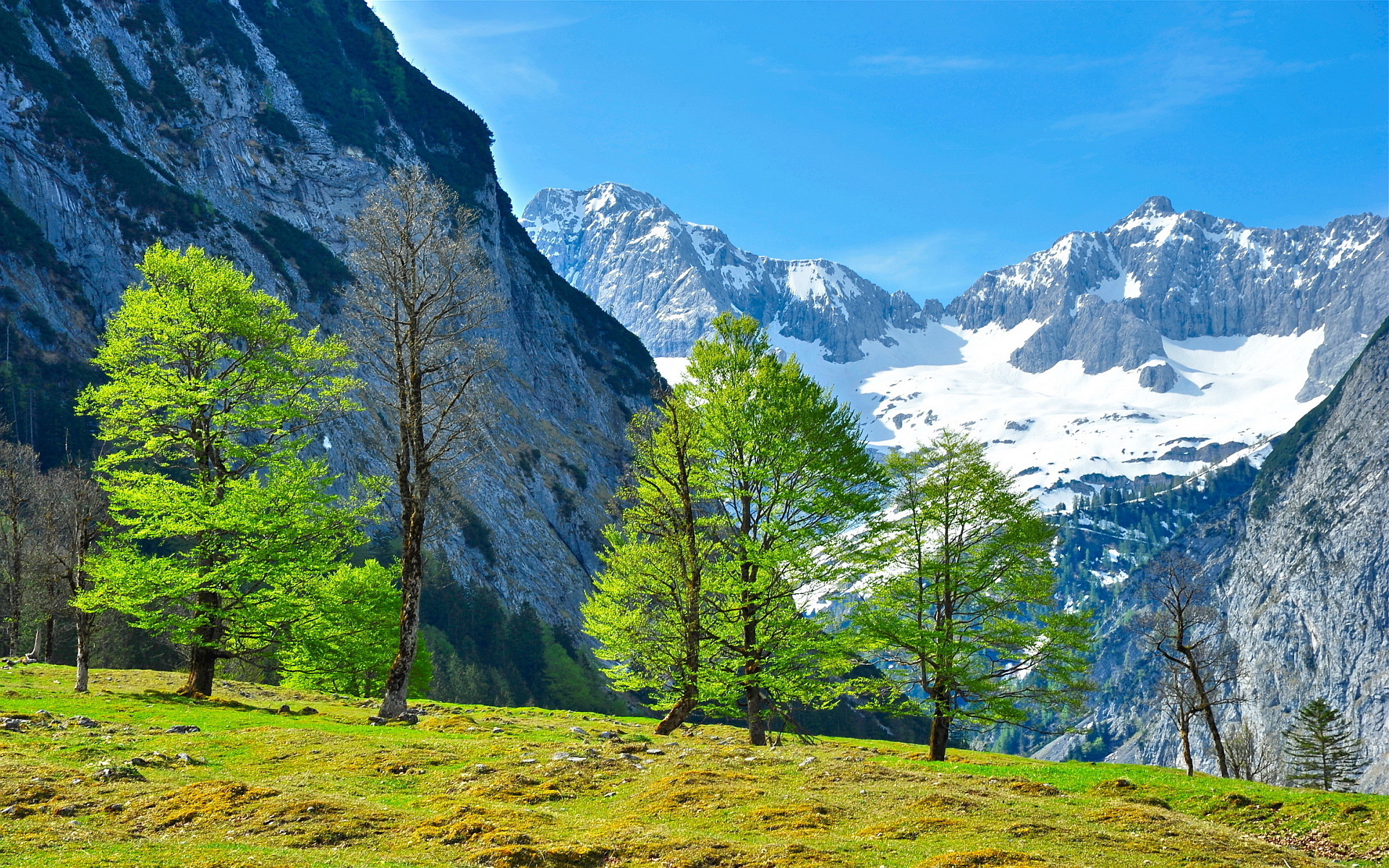 Kelionė po Austrijos Alpes su kalnų žygių vadu! - Makalius.lt