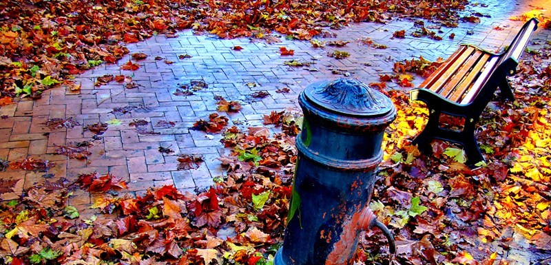 Gražiausi miestai rudenį – rekomenduojame Romą, Barseloną, Milaną